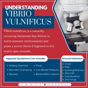 Tampa Vibrio Vulnificus Lawyer
