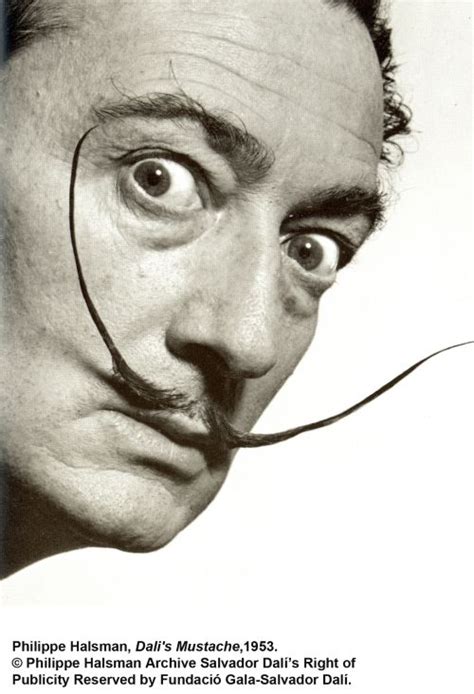 Morphological Echo Salvador Dali