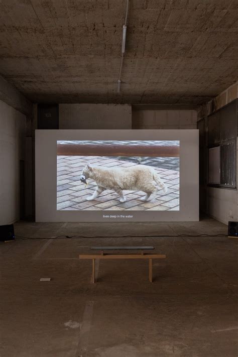 In Conversation Souvenir Justine Daquin In Conversation With Ohan