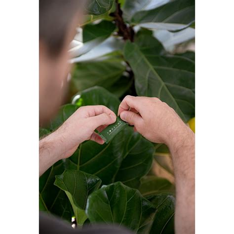 Fodzyme® 5 Dose Starter Kit Preorder End Jan 2026 Foods ﻿online