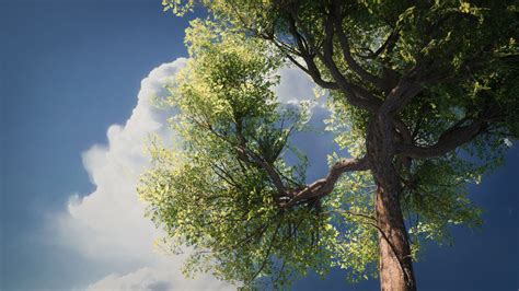 Trees Library 140 Animated Assets Superhive Formerly Blender Market