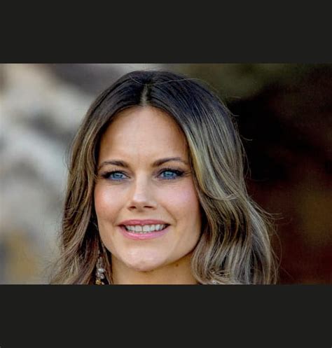 Top Le Crayon Bleu De La Princesse Sofia