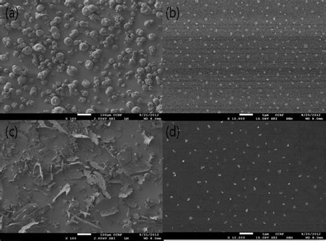 Sem Morphology Of A Ctec B Ctec Solution C Ctec Loaded