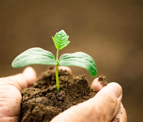 Entenda Mais Sobre A Cpr G Reis Academy