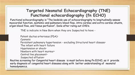 Functional Echocardiography Ppt Pdf
