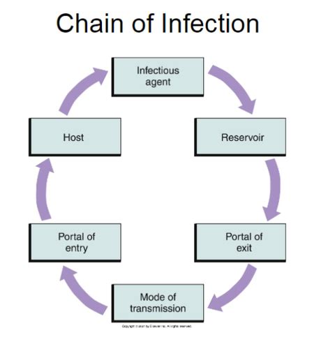 Infection Control Flashcards Quizlet