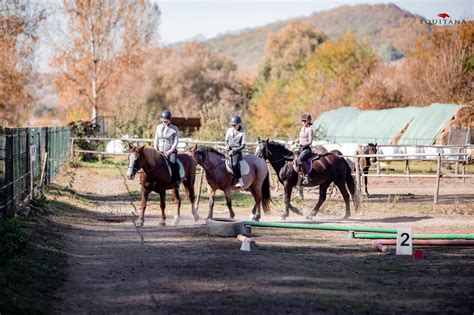 Blog La Haiducu Valea Viilor Medias Jud Sibiu Equitana