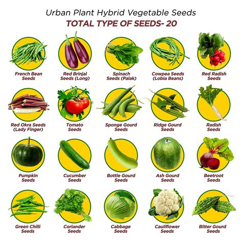 Buy Fresh Vegetable Seeds Online High Quality And Affordable Gardening Seeds Urban Plant