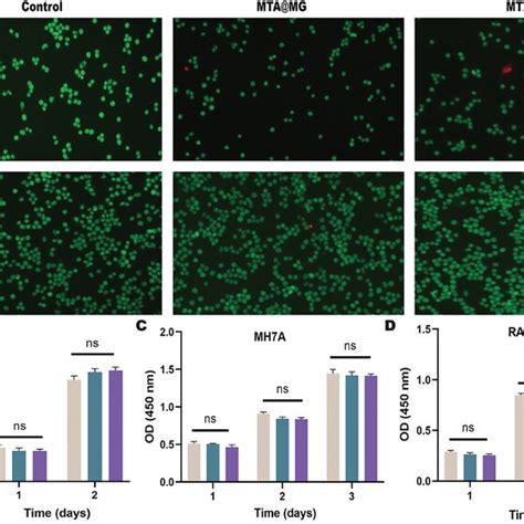 Characterization Of Lipoplexes A Lipoplex Was Constructed By Dapc