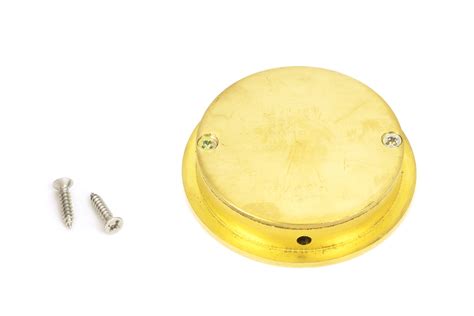 Polished Brass 60mm Plain Round Pull Dw Ironmongery