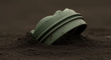 What Are Key Environmental Policy Examples → Question