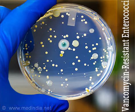 Vancomycin Resistant Enterococcus Infection