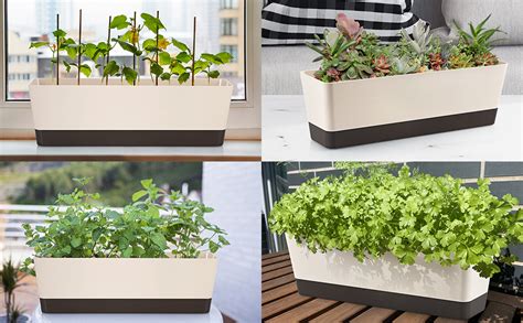 Skelang 3 Pcs Rectangular Plant Pot 167 Flower Planter