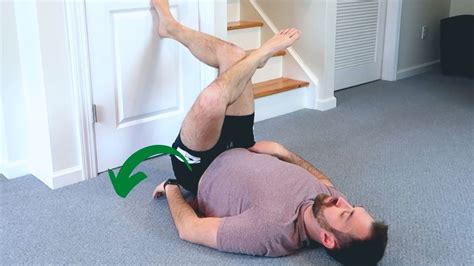 Hip External Rotator Muscles