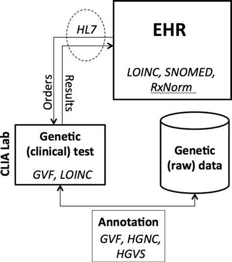 Diagram Showing Integration Of Genetic Data To The Electronic Health