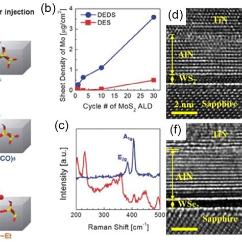 Ald Of 2d Freestanding Materials A Molybdenum Precursor Adsorption Download Scientific
