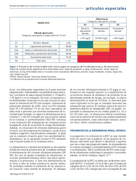Claificacion Kdigo Guia Para Determinar El Grado De Irc Artículos