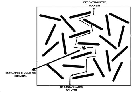 Schematic Representation Of Tortuous Path On The Reverse Diffusion Of
