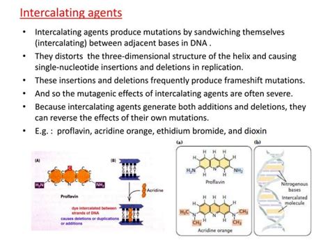 Spontaneous And Induced Mutations Pptx Chemistry Science