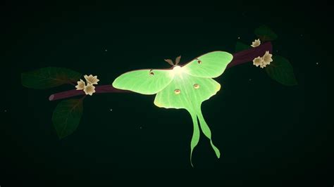 Luna Moth Wallpapers Top Free Luna Moth Backgrounds Wallpaperaccess