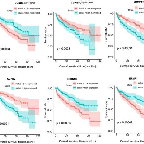 The Differences Between The Distributions Of Methylation Levels Of The Download Scientific