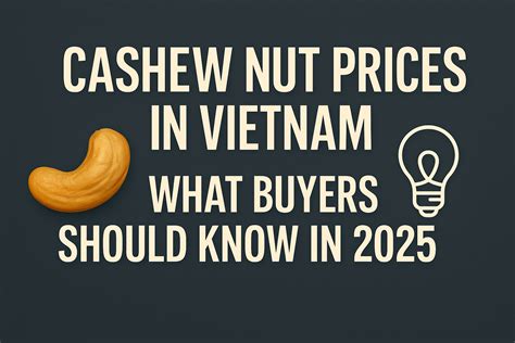 Cashew Nut Prices In Vietnam What Buyers Should Know In 2025 Svc Group