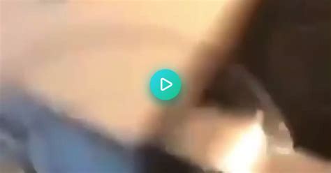 Spaghetti Album On Imgur