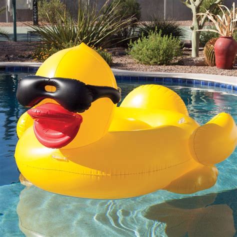 Rubber Ducky Pool Float At Myron Moses Blog