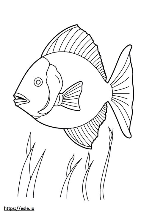 Green Sunfish Full Body Coloring Page