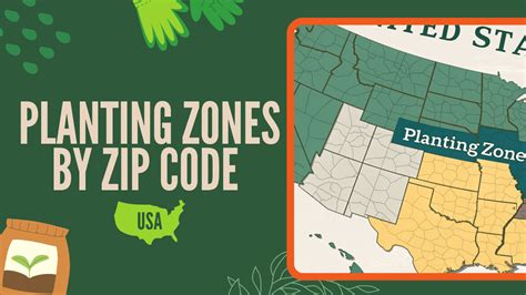 Planting Zones By Zip Code Usa 10 Advanced Tips