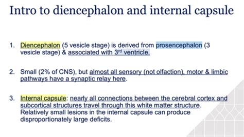 Diencephalon And Internal Capsule Flashcards Quizlet