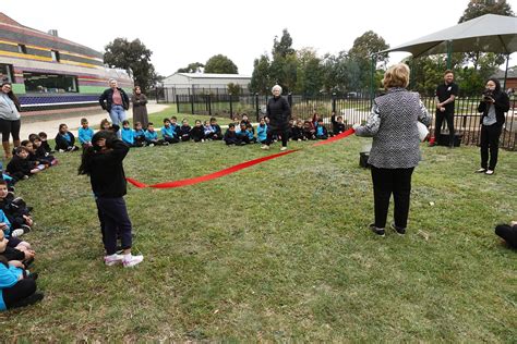 Dallas Brooks Community Primary School Frog Bog Opening Jeavons