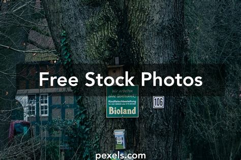 Environment Certification Photos Download The Best Free Environment