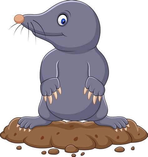 Mole Little Vectors And Illustrations For Free Download Freepik