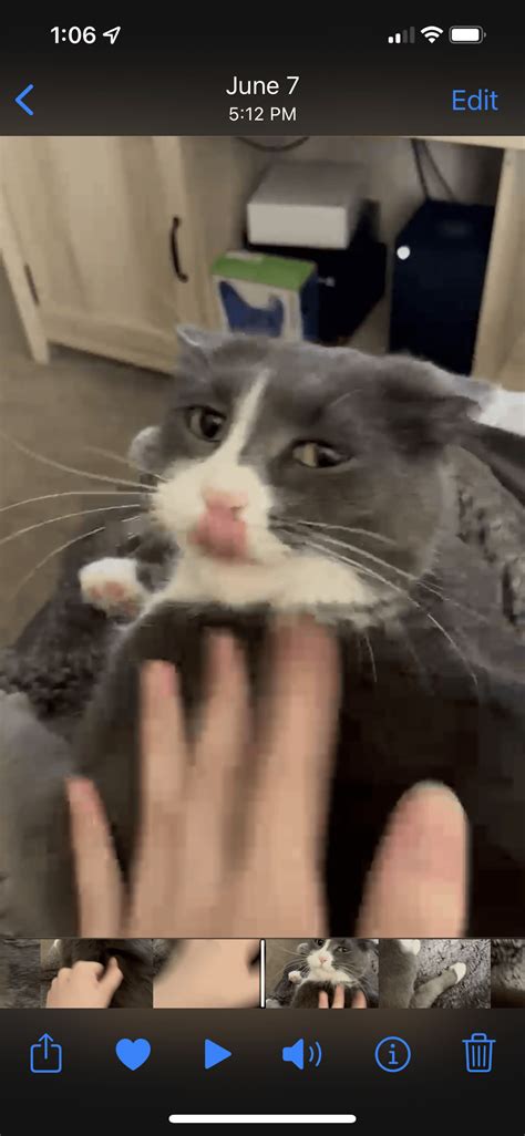 The Grey Guy In Question R Greyguyenjoyers