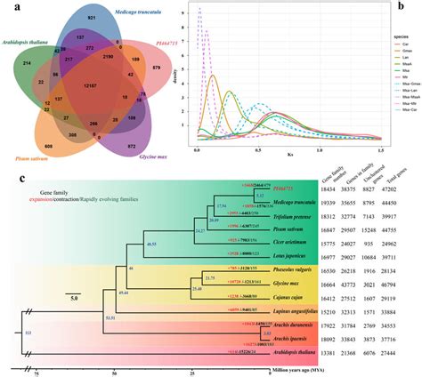 Phylogenetic And Evolutionary Analyses Of The Pi464715 Genome A Venn Download Scientific