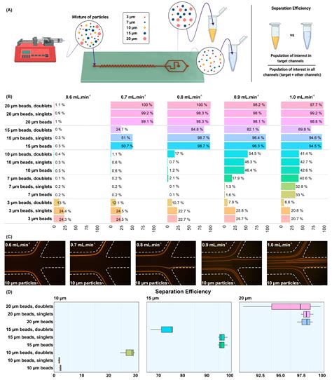 A Method For Rapid Quantitative Evaluation Of Particle Sorting In
