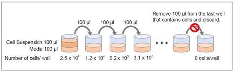Protocol For A Combined Analysis Cell Count Normalization Kit Cellular