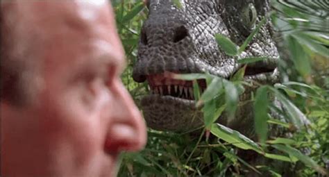 Iconic Movie Lines 30 Best List According To Expert Chivers