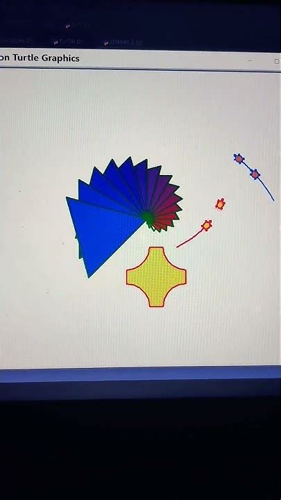 Amezing Creating Turtle Shapes In Python Programming 👨‍💻 Youtube