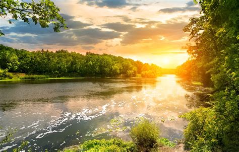 Wallpaper Forest Sunset River Forest River Landscape Sunset For