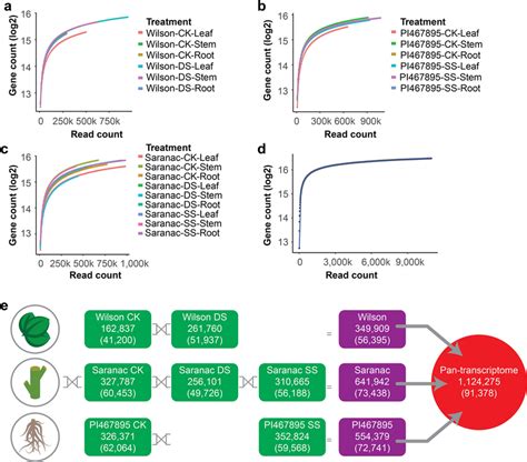 Analysis Of The Medicago Sativa Pan Transcriptome Gene Saturation