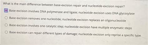 Solved What Is The Main Difference Between Base Excision