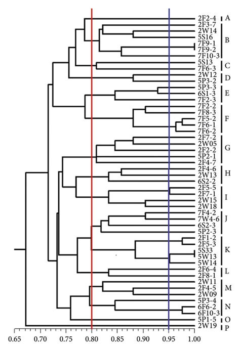 Eric Pcr Profiles Of 50 Integron Positive Isolates A Electrophoresis Download Scientific