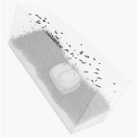 Rectangular Aquarium 3d Model Download Hobbies On