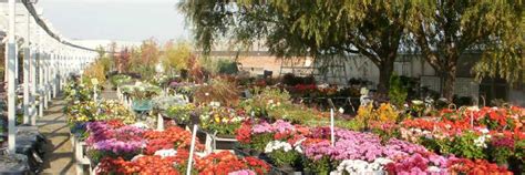Tri Cities Flower Farm