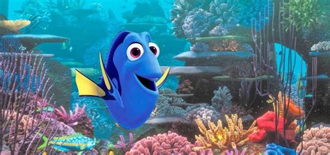 Dorys Reef Cam Is Now Available On Disney