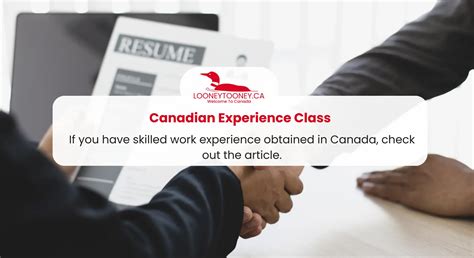 Get Details Of The Canadian Experience Class Looneytooney