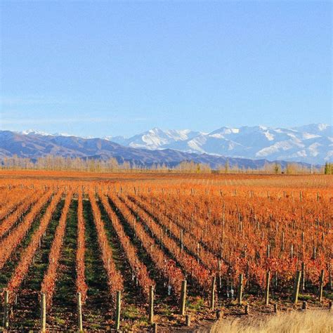 Wine Tasting In Argentinas Mendoza And Uco Valley Wine Region Luxury