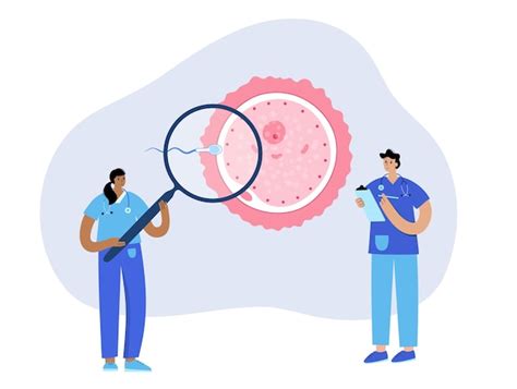 Premium Vector Human Fertilization Concept